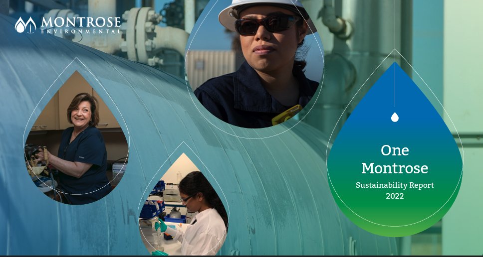Montrose Environmental Group releases 2022 sustainability report - BIC ...